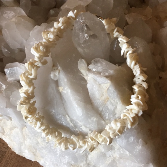 Jewelry | Shell Necklace From The Bahamas | Poshmark